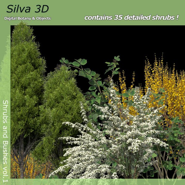 3d model forsythia shrubs ornamental