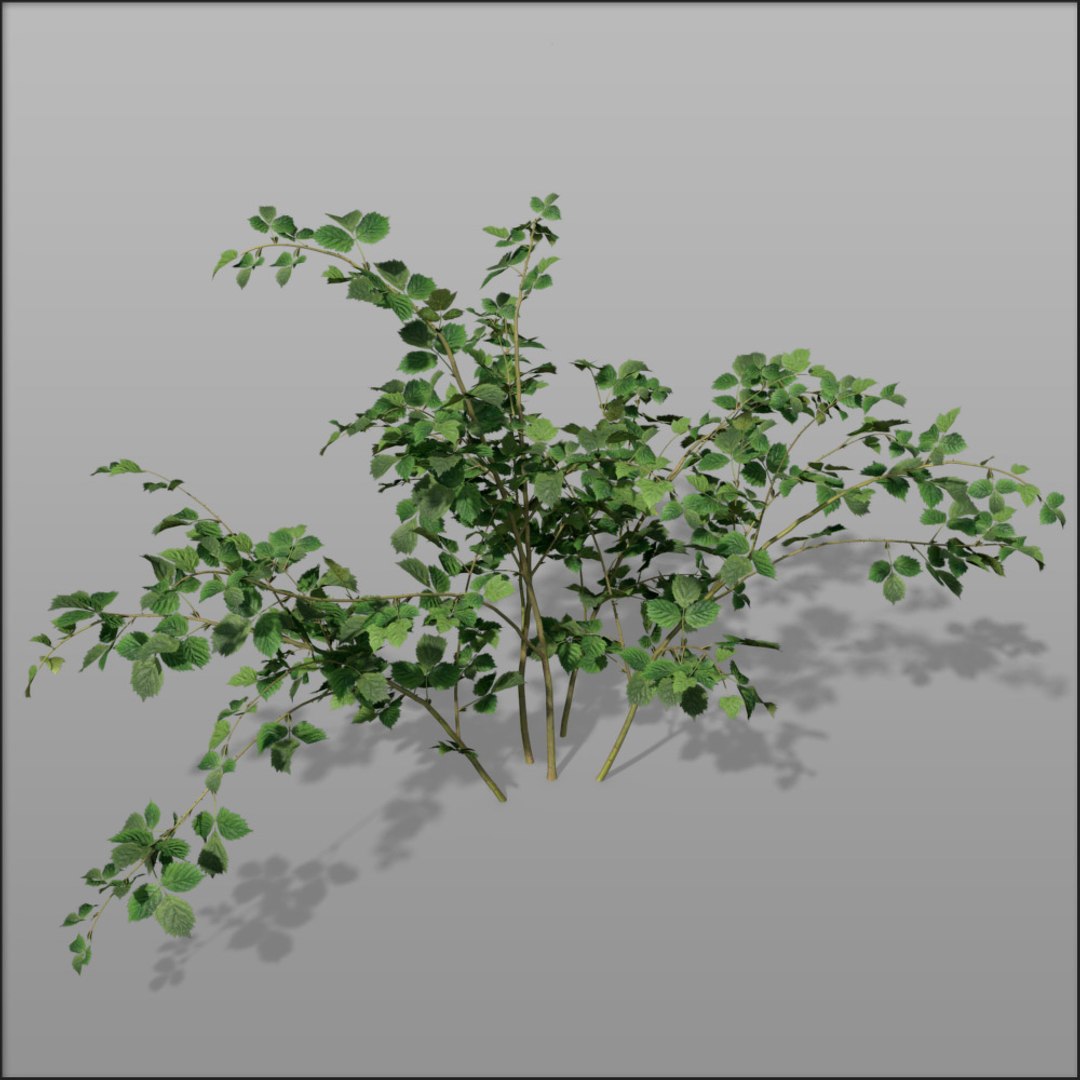 3d shrub bush 1 model
