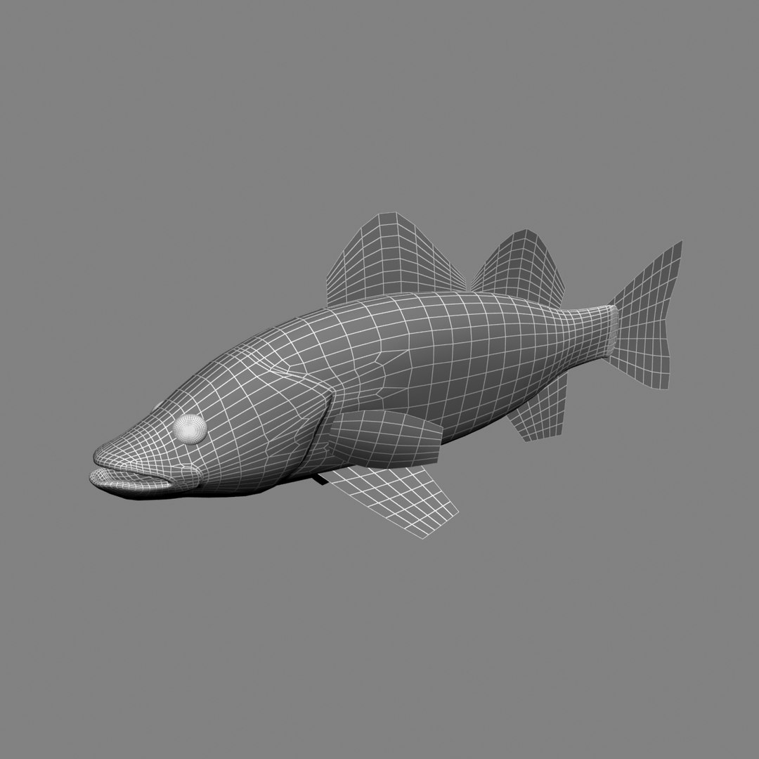 3D Fish - TurboSquid 1232659