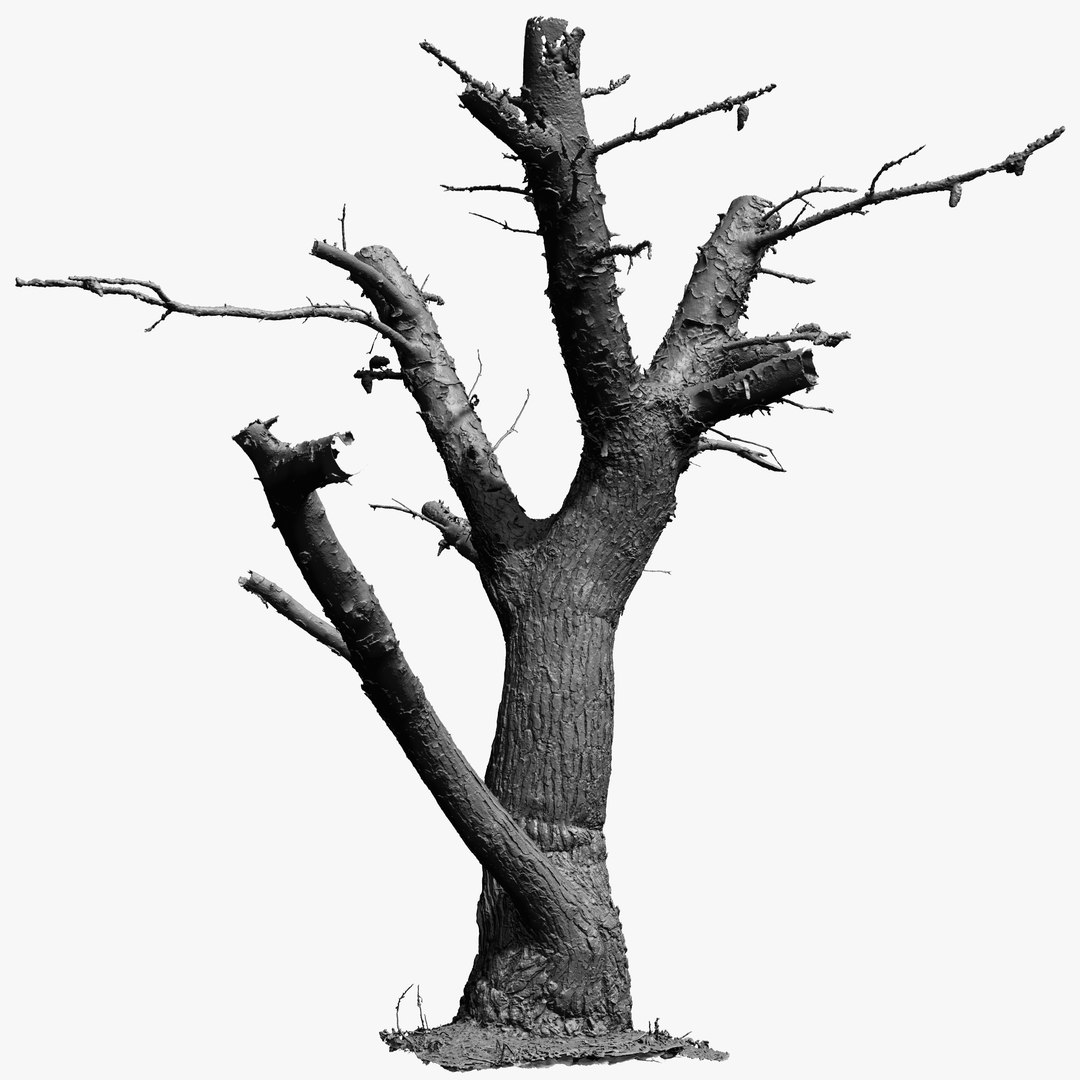 3D Burnt Pine Tree Charred 2 x 16k Textures Raw 3D Scan model ...
