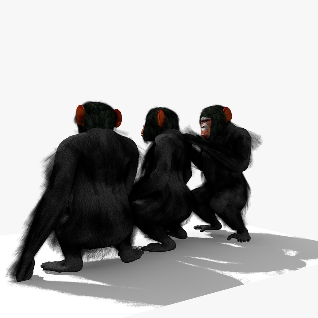 Group Chimpanzee Animation Chimp 3D Model - TurboSquid 1376900