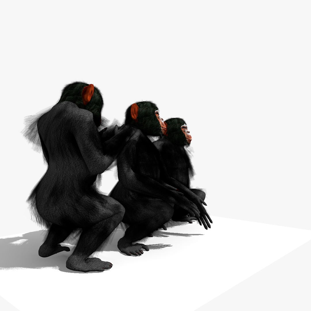 Group chimpanzee animation chimp 3D model - TurboSquid 1376900