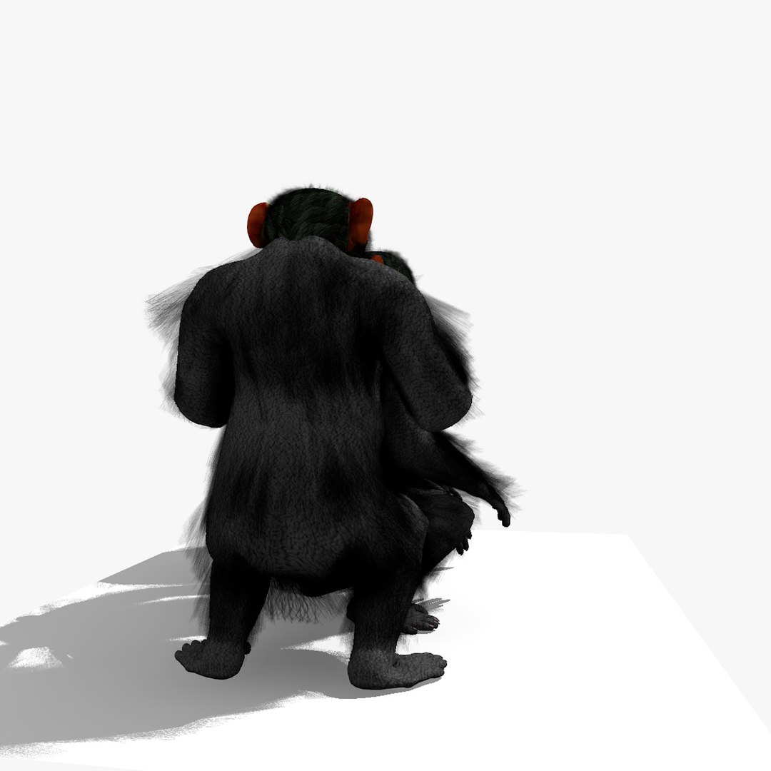 Group Chimpanzee Animation Chimp 3D Model - TurboSquid 1376900