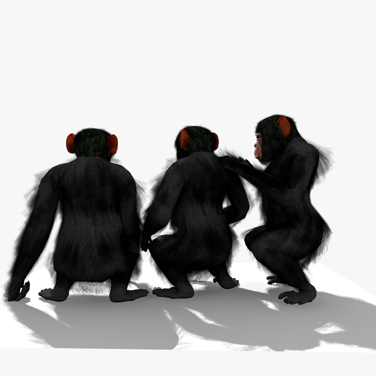 Group chimpanzee animation chimp 3D model - TurboSquid 1376900