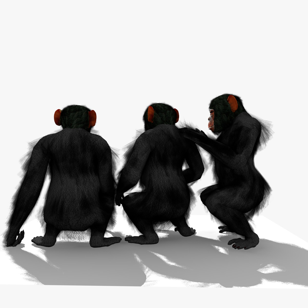 Group chimpanzee animation chimp 3D model - TurboSquid 1376900
