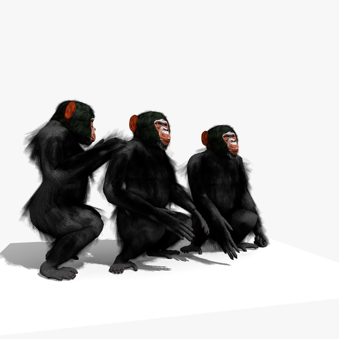 Group chimpanzee animation chimp 3D model - TurboSquid 1376900