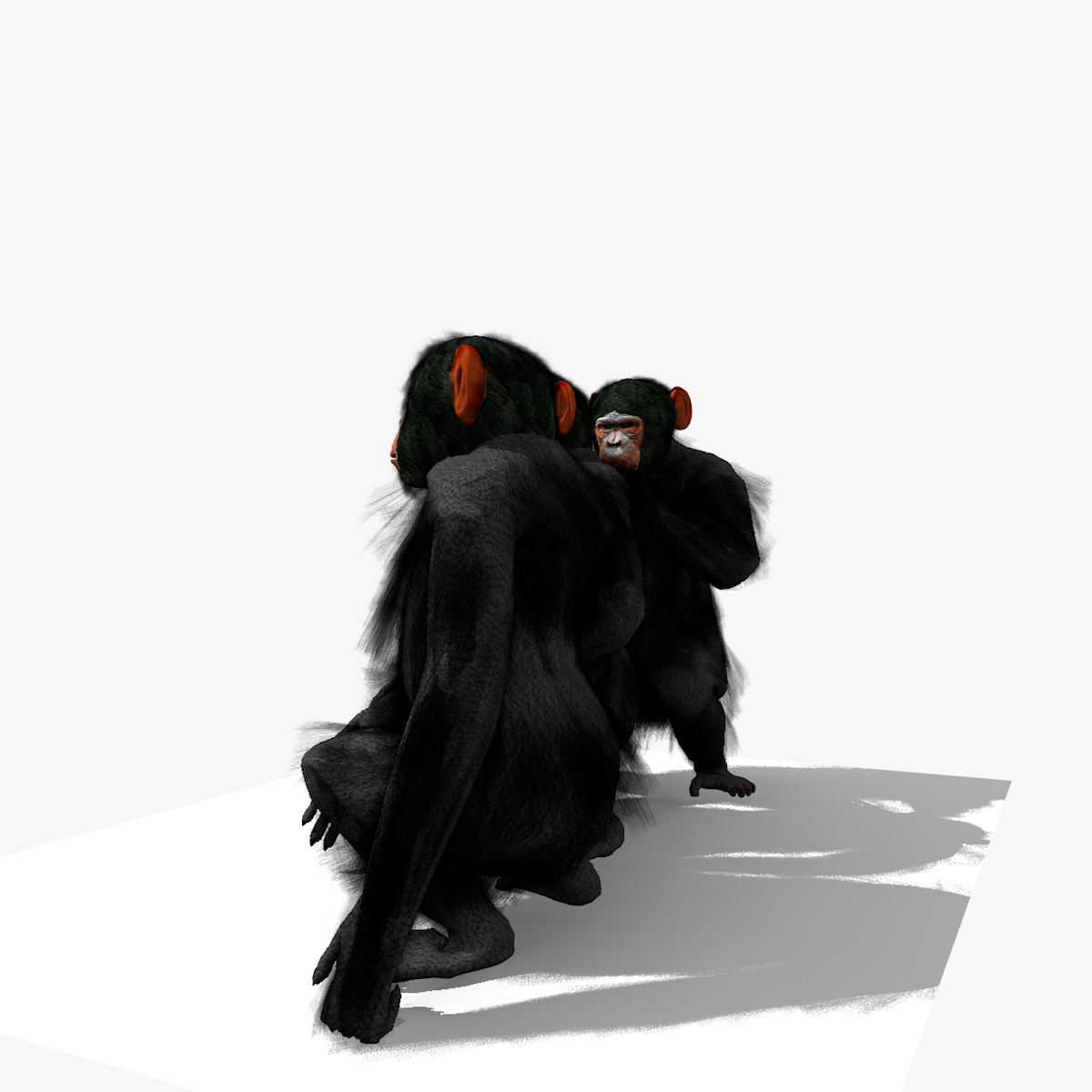 Group chimpanzee animation chimp 3D model - TurboSquid 1376900