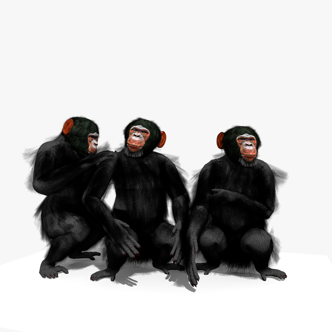 Group Chimpanzee Animation Chimp 3D Model - TurboSquid 1376900