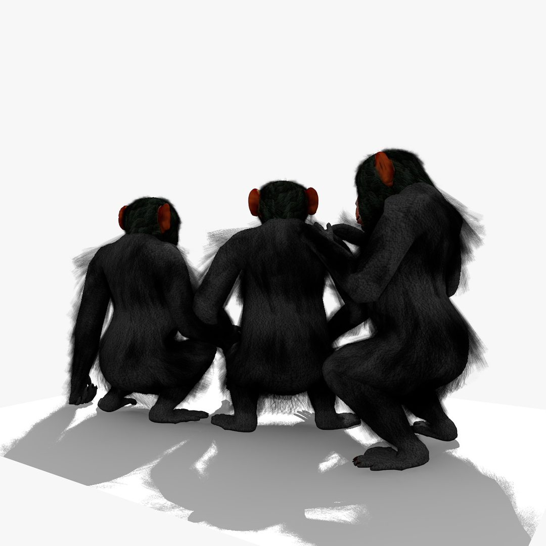 Group chimpanzee animation chimp 3D model - TurboSquid 1376900