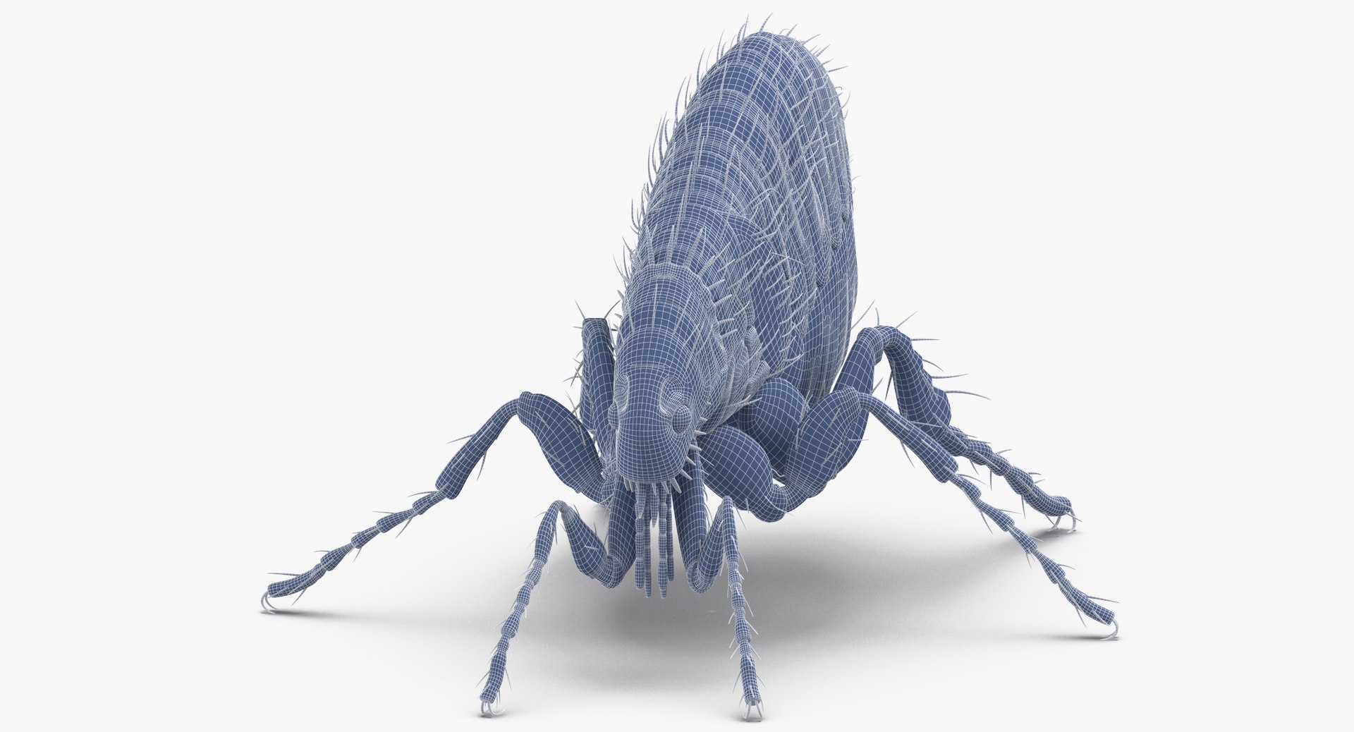 3D Flea Standing - TurboSquid 1375624