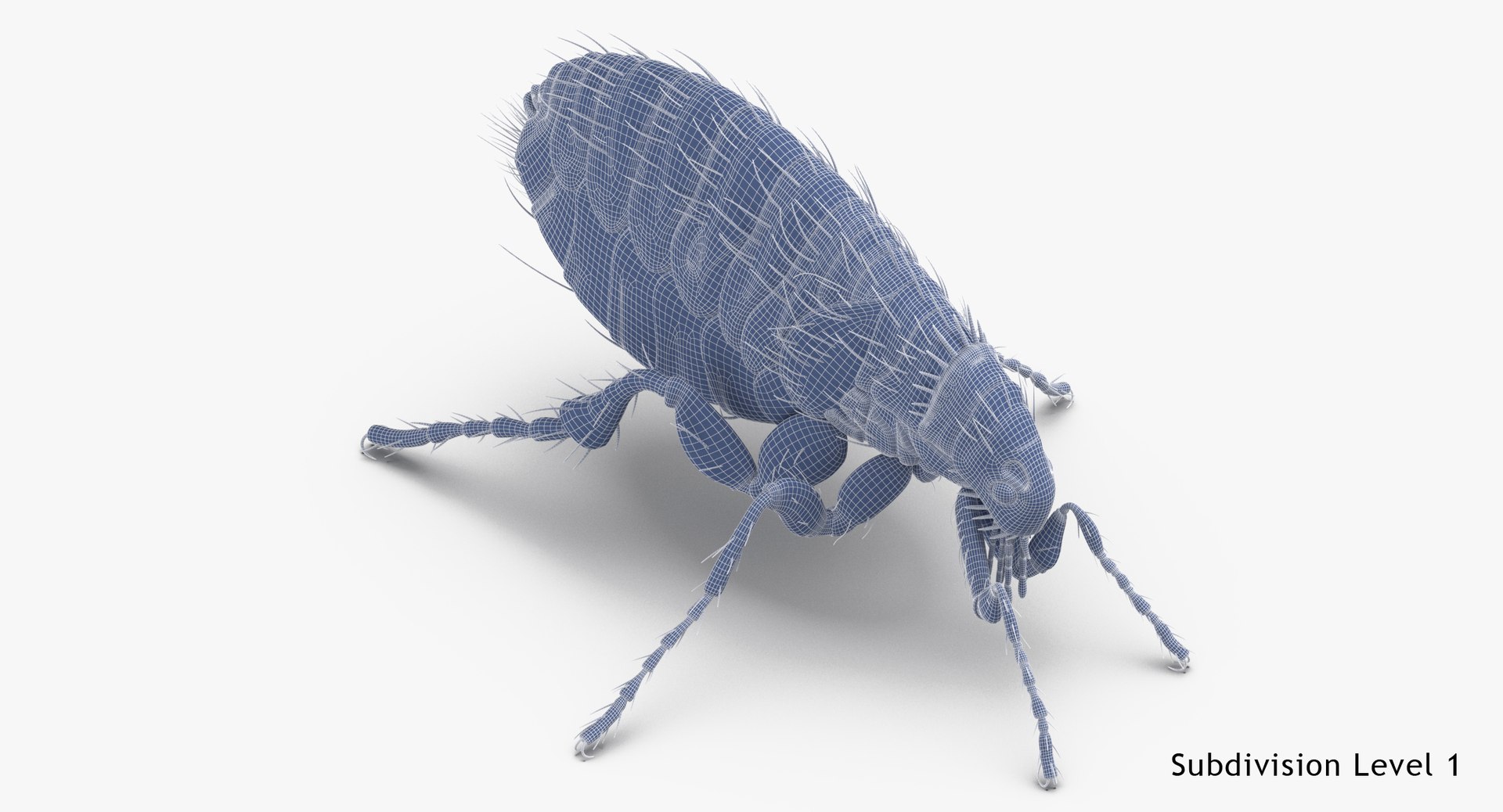 3D Flea Standing - TurboSquid 1375624