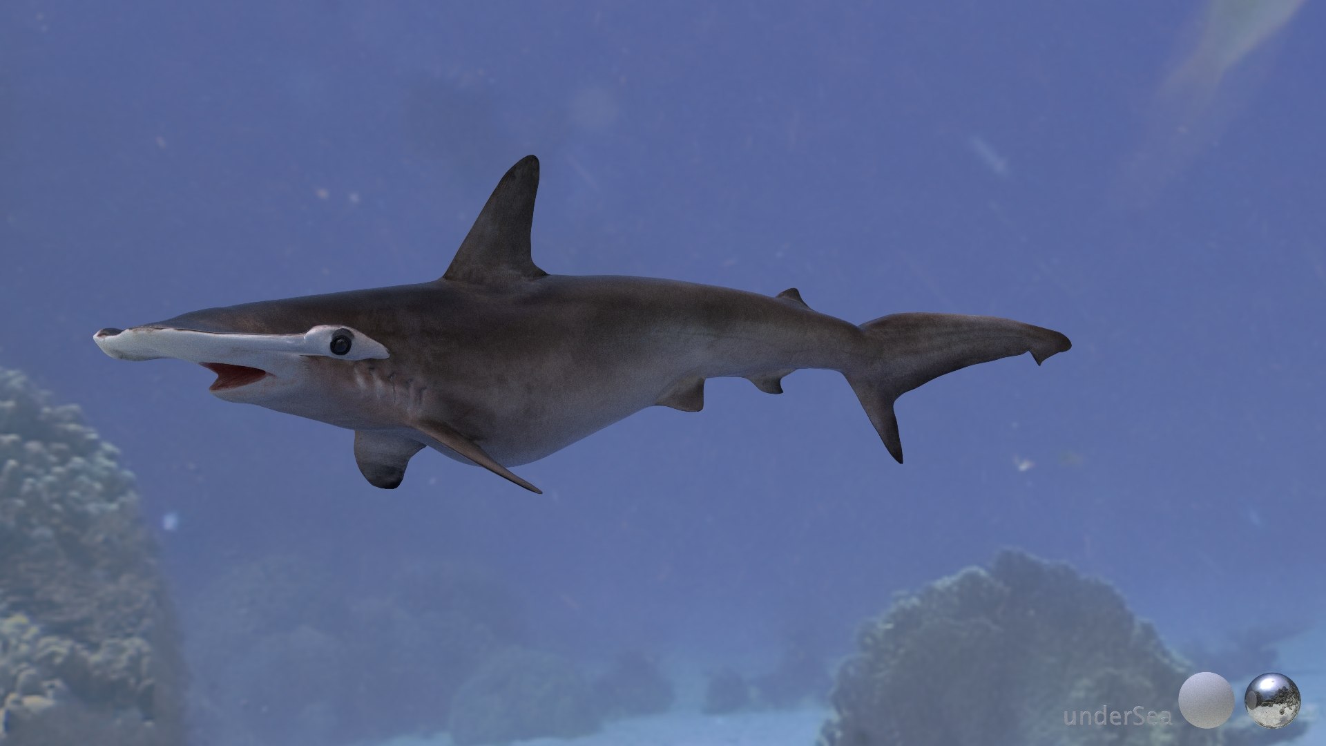 Rigged HammerheadShark Model - TurboSquid 2009879