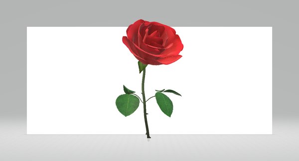 3D model rose - TurboSquid 1242547