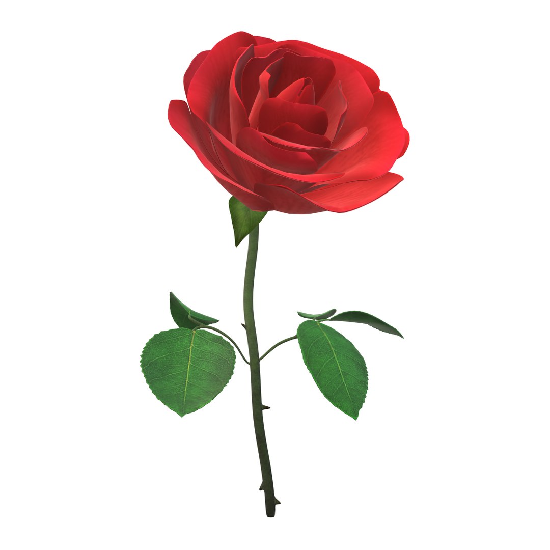 3D Model Rose - TurboSquid 1242547