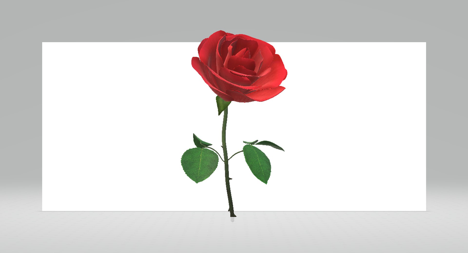 3D Model Rose - TurboSquid 1242547