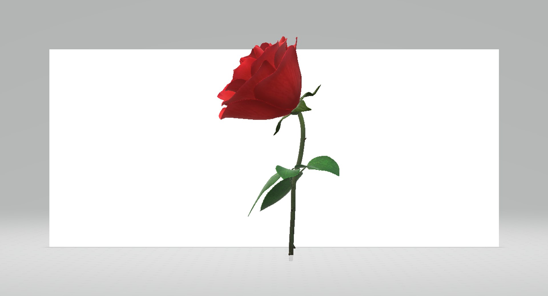 3D Model Rose - TurboSquid 1242547