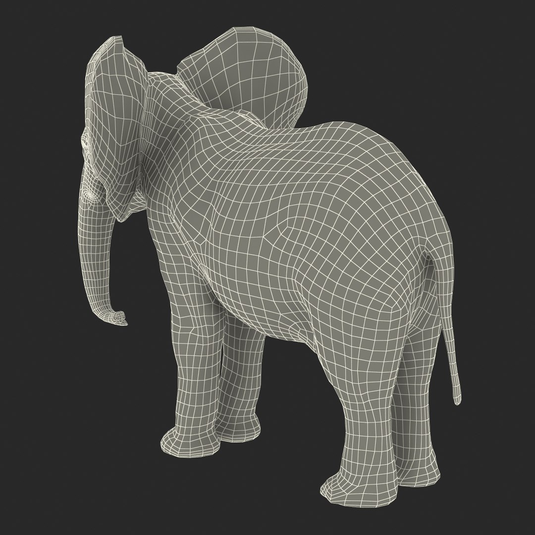 Baby Elephant 3d Model