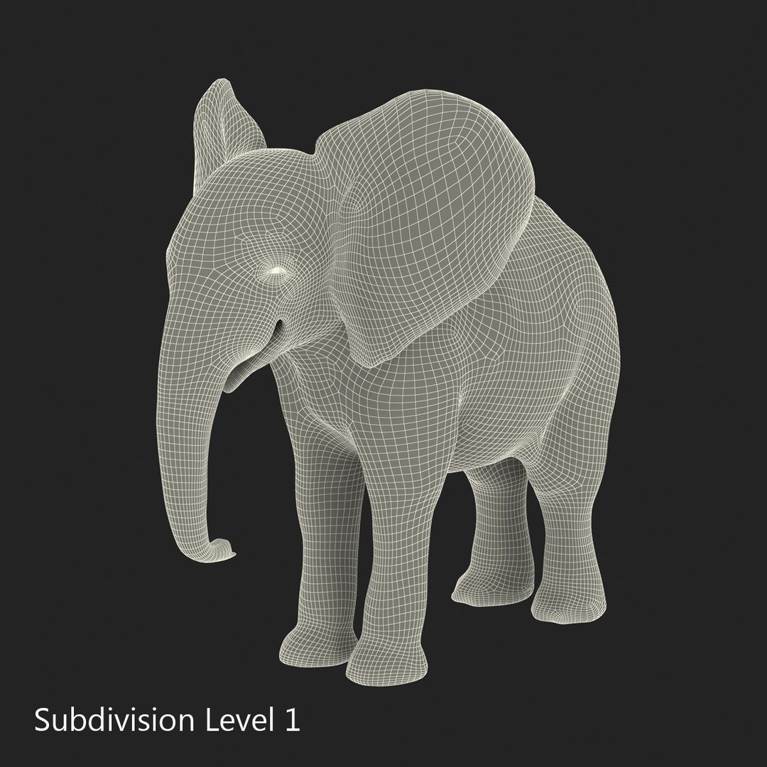 baby elephant 3d model