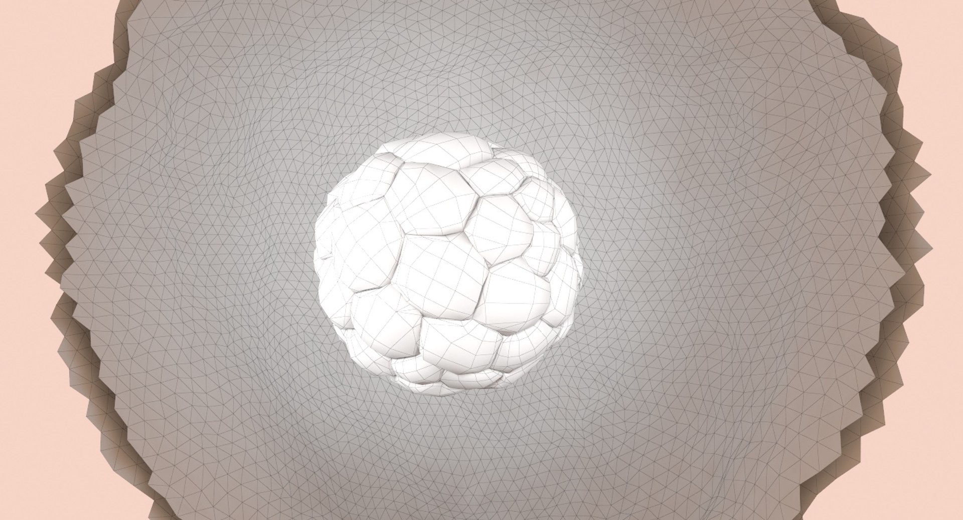 Blastocyst Ovum General Model - TurboSquid 1369949