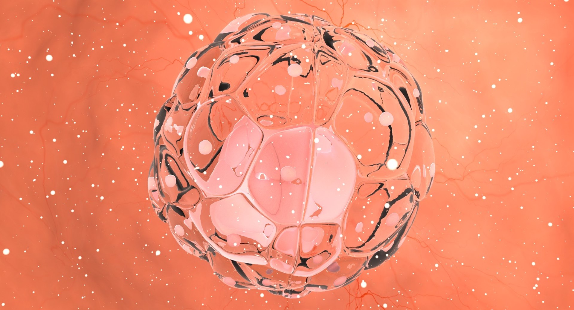 Blastocyst Ovum General Model - TurboSquid 1369949