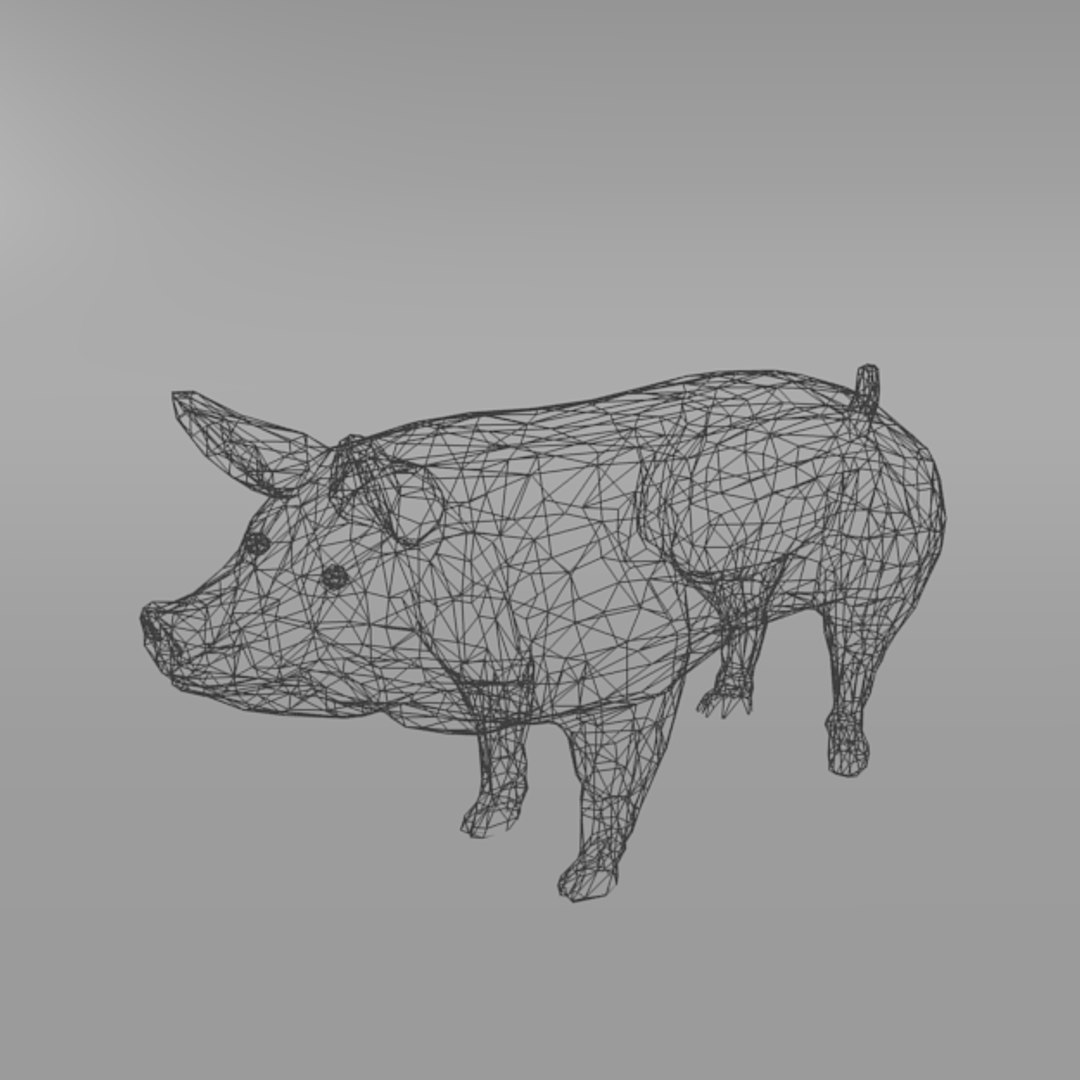 Standard pig 3D model - TurboSquid 1318860