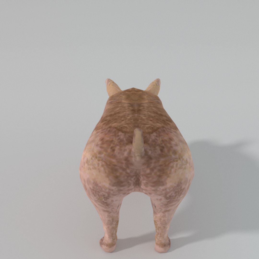 Standard pig 3D model - TurboSquid 1318860
