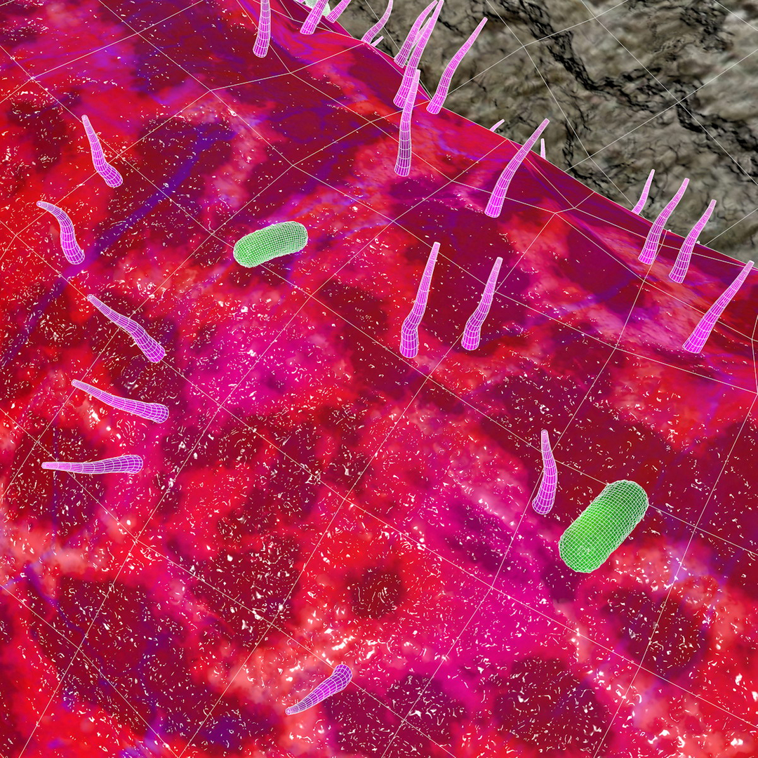 C4d Bacterium Covered Small Germs