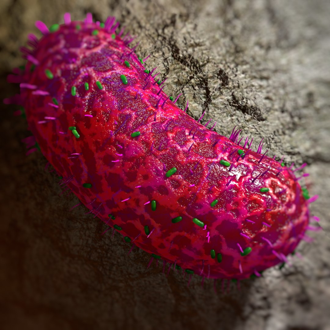 C4d Bacterium Covered Small Germs