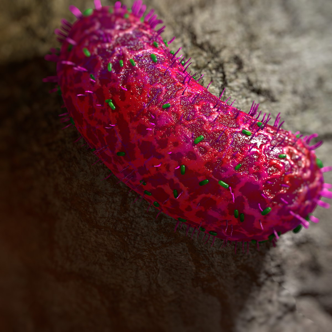 C4d Bacterium Covered Small Germs