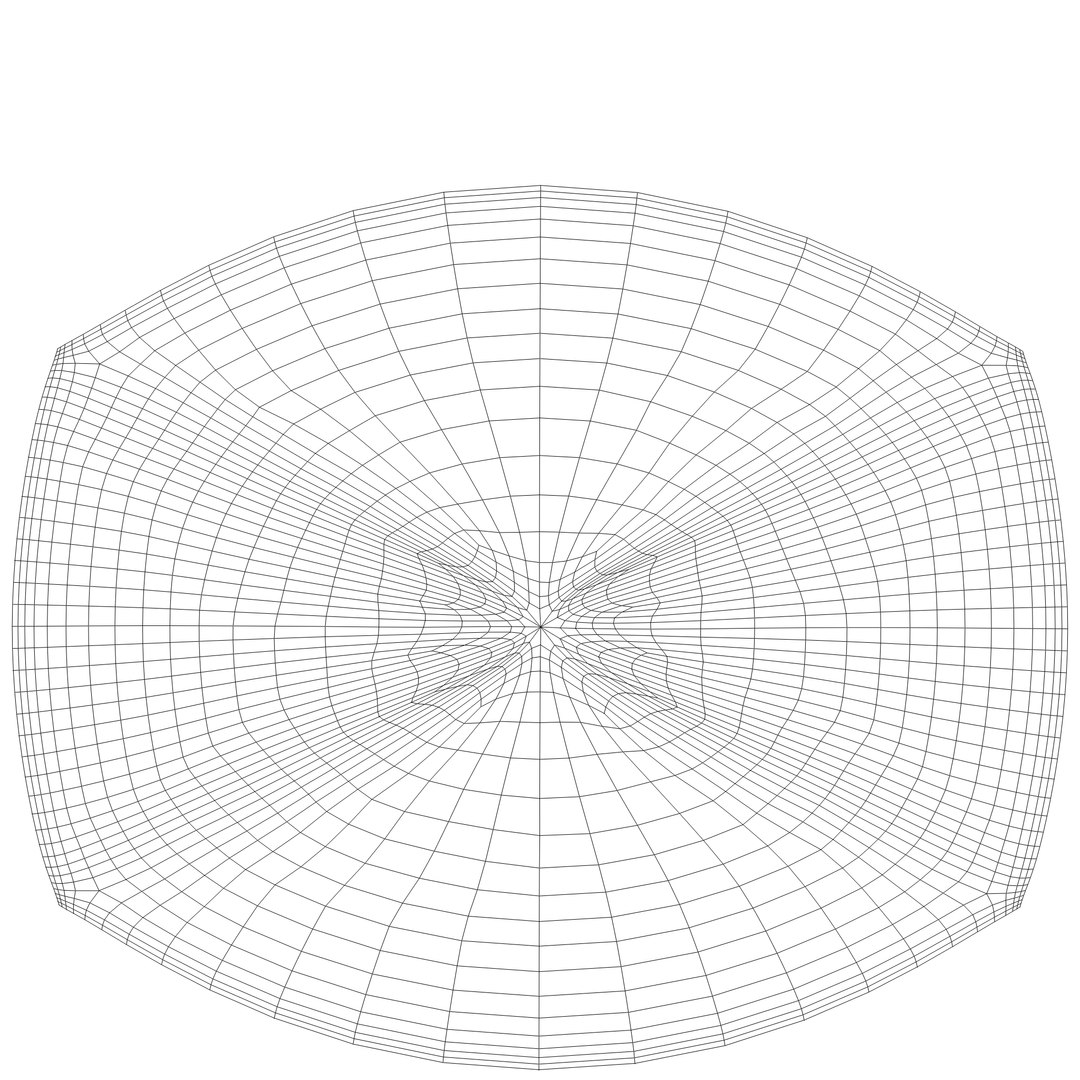 Catching Net 3D Model - TurboSquid 2060555