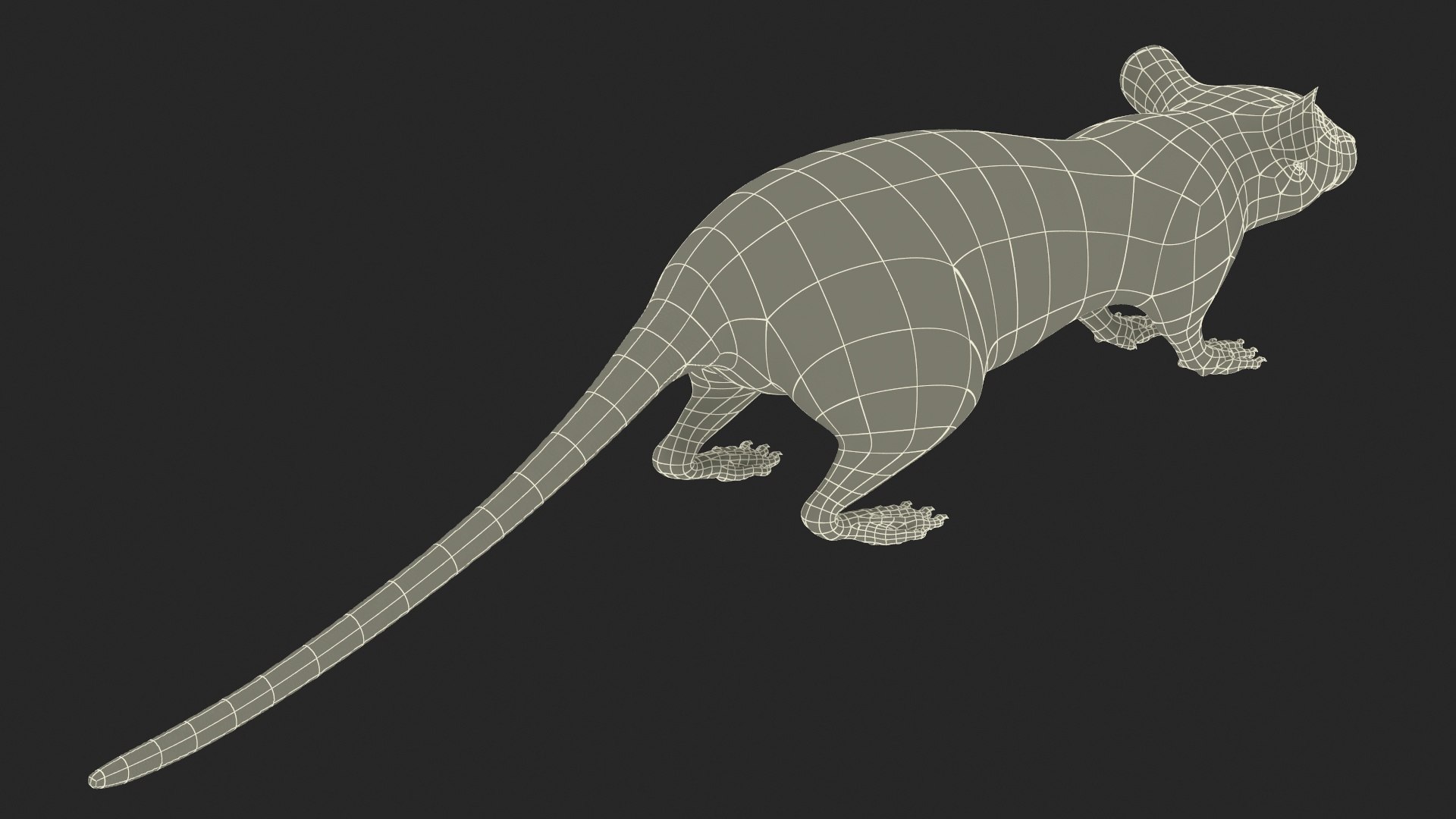 Realistic Rat With Fur 3D Model - TurboSquid 2317806