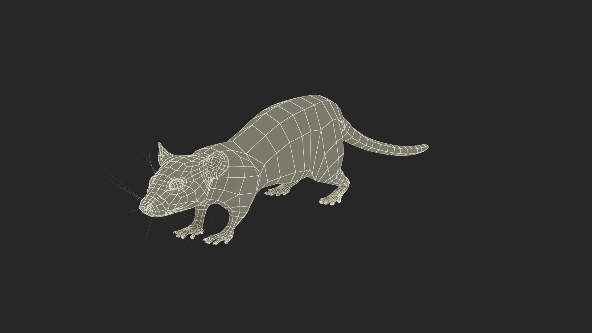 Realistic Rat With Fur 3D Model - TurboSquid 2317806