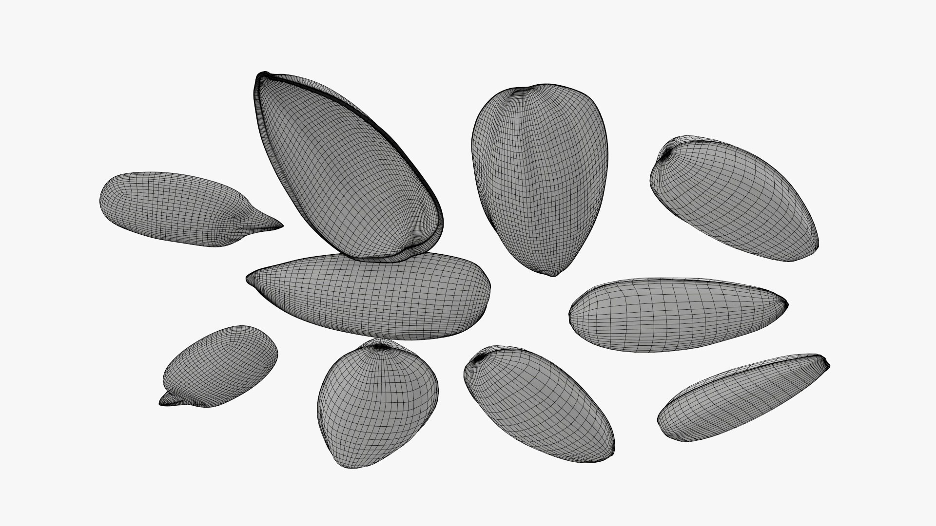 3D Seed Sunflower Model - TurboSquid 1621653