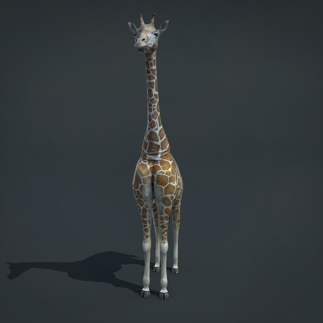 3d Realistic Giraffe
