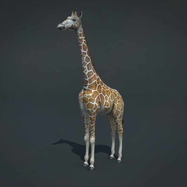3d realistic giraffe