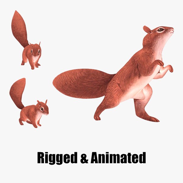 Rigged animated squirrel chipmunk chippy model - TurboSquid 1937015