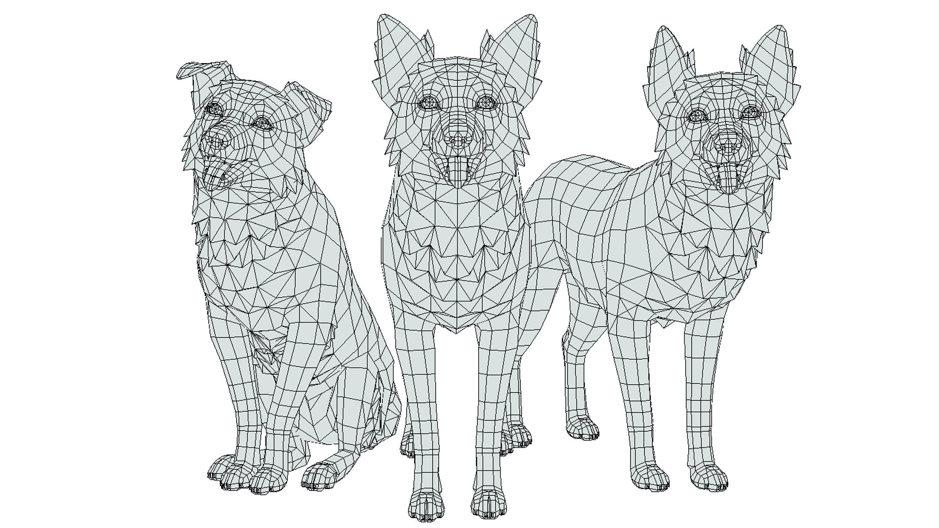 3D LowPoly Dog - Border Collie - TurboSquid 2063220
