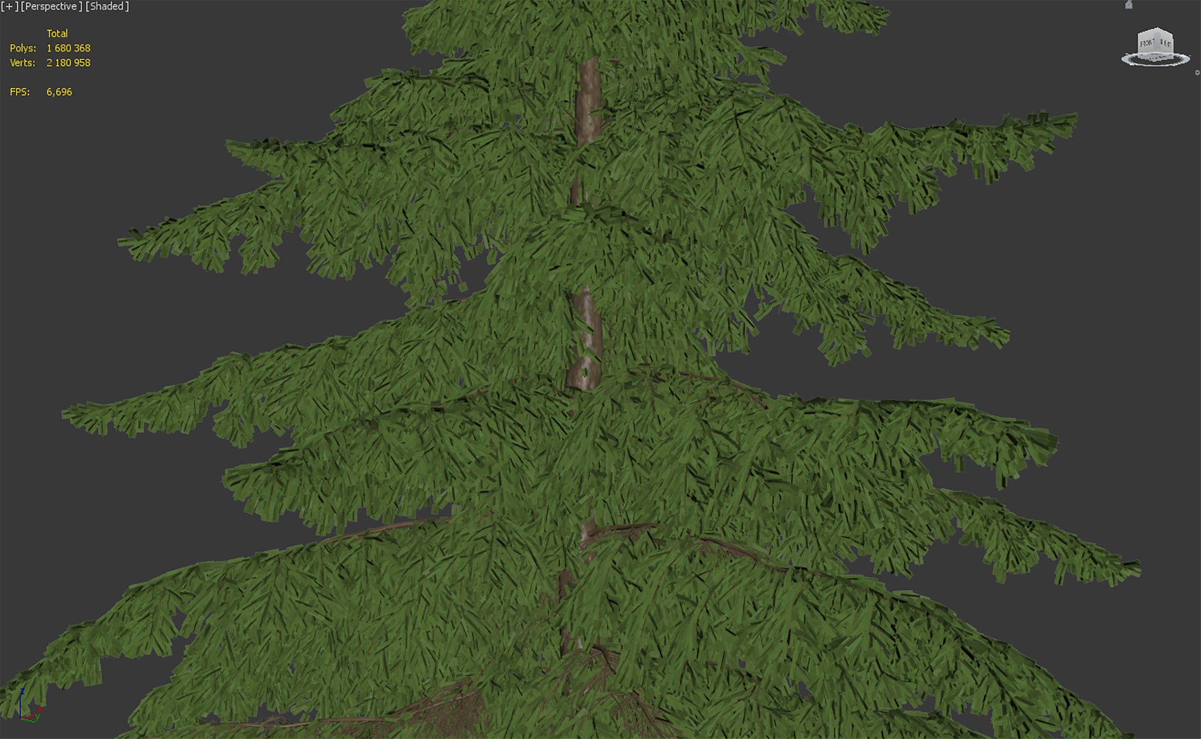 Spruce Tree Nature 3D Model - TurboSquid 1694093