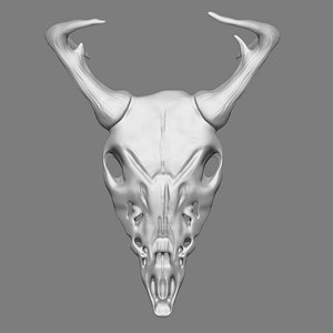 Animal Skull STL Models for Download | TurboSquid