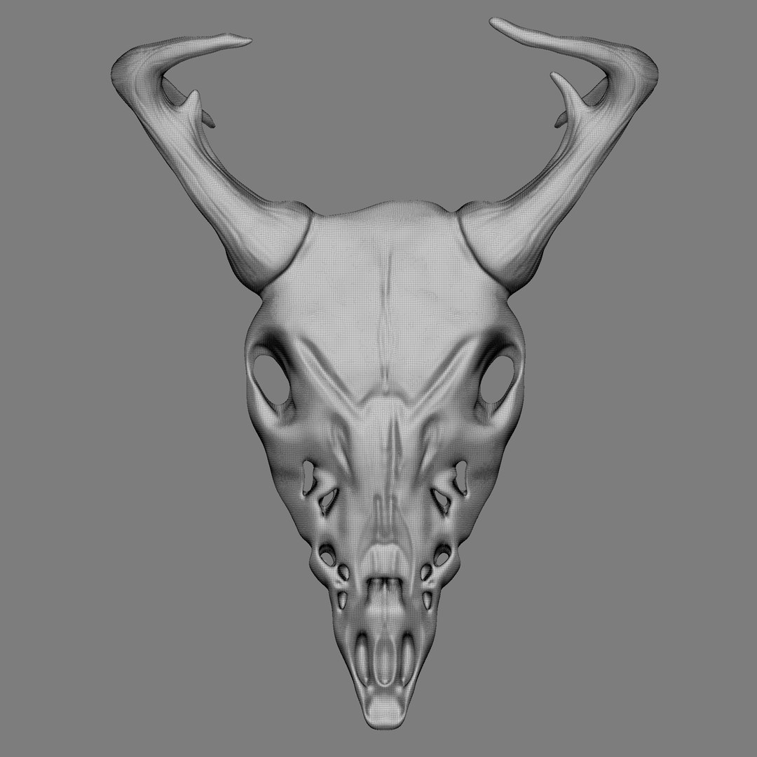 3D Ram Skull Print Model - TurboSquid 1729285