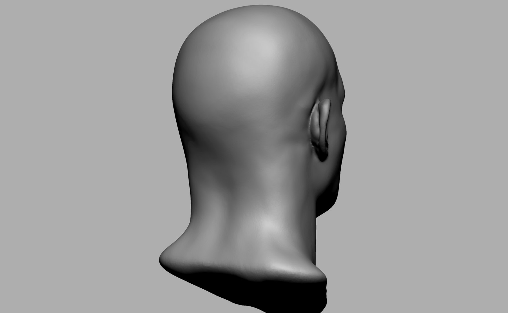 3D Base Male Head Model - TurboSquid 1486357