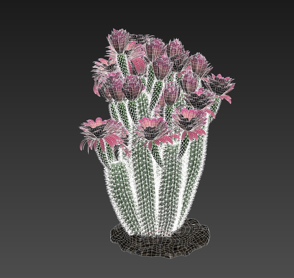 Cactus pbr 3D model - TurboSquid 1377055