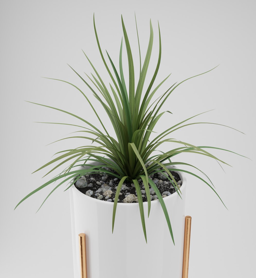 3D Plant Pot Pottered Model - TurboSquid 1592361