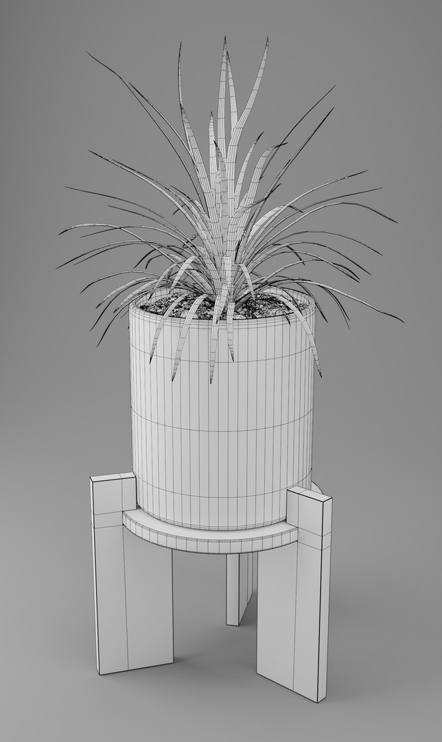 3D Plant Pot Pottered Model - TurboSquid 1592361