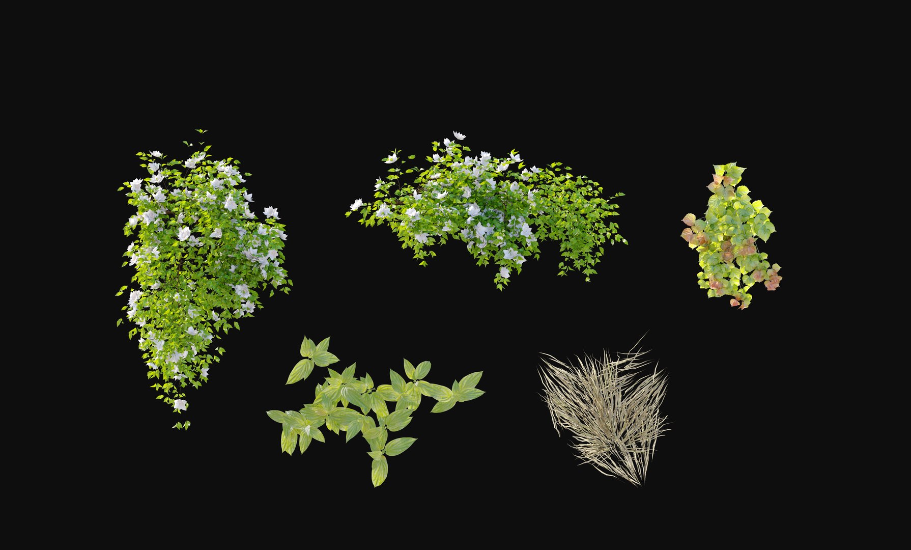 3D Vertical garden plants - TurboSquid 1943342