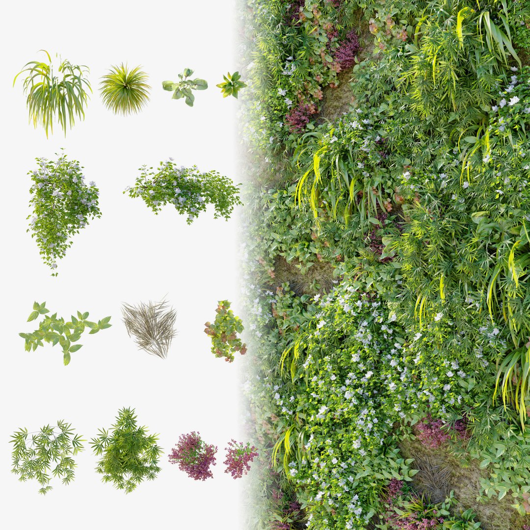 3D Vertical garden plants - TurboSquid 1943342