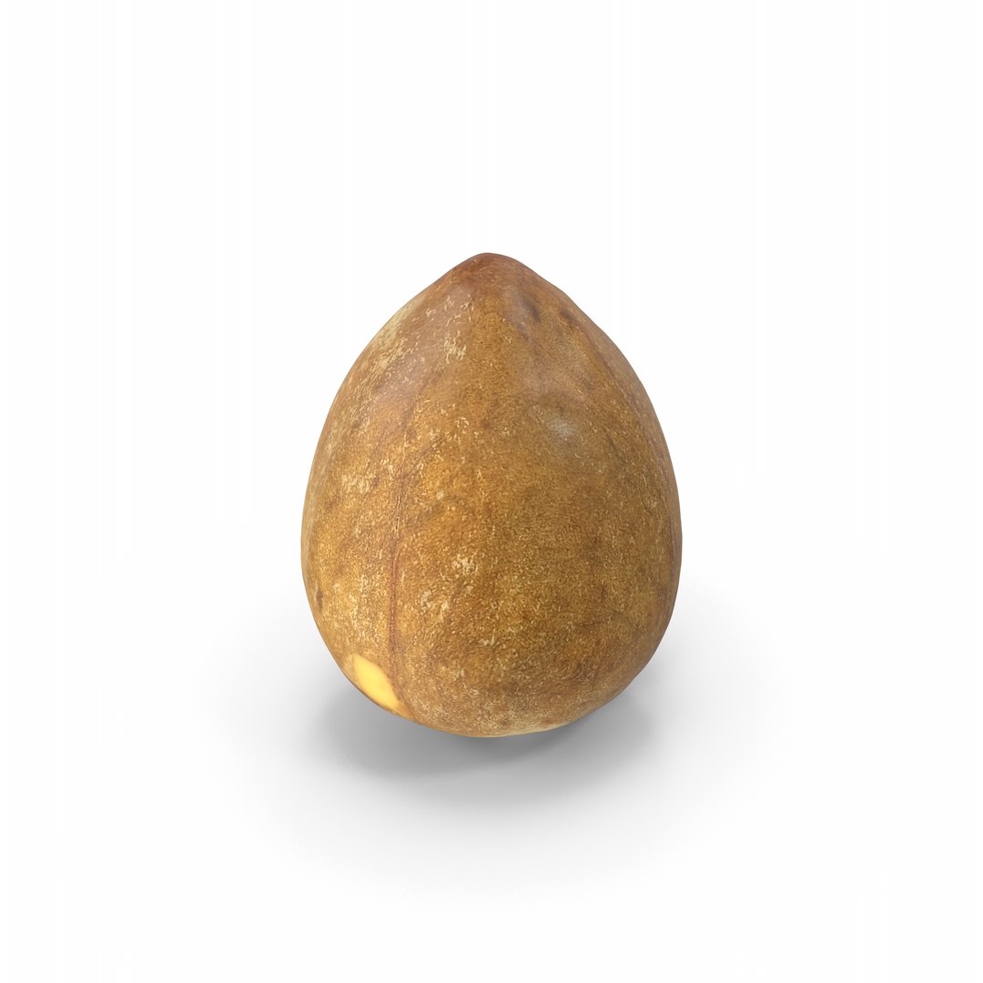 Avocado Seed 3D Model - TurboSquid 2390907