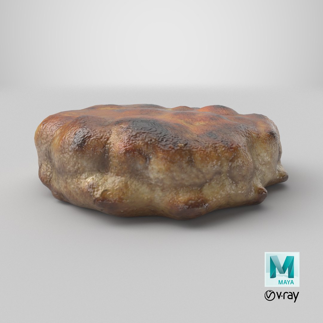Fried Meat Patty - Photo Scan 3D Model - TurboSquid 2513267