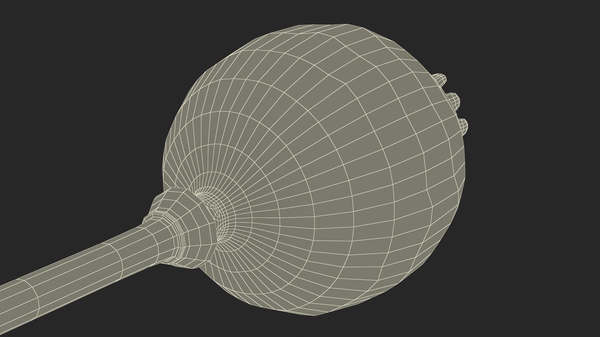 Dry Poppy Seed Plant 3D model - TurboSquid 2007270