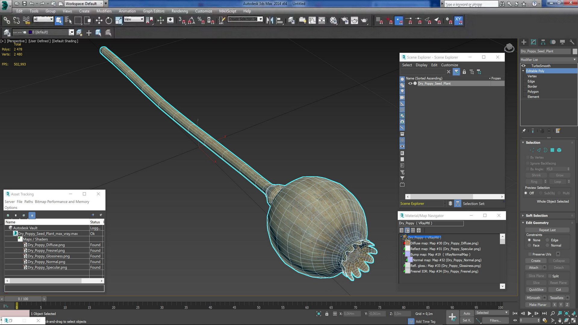 Dry Poppy Seed Plant 3D model - TurboSquid 2007270
